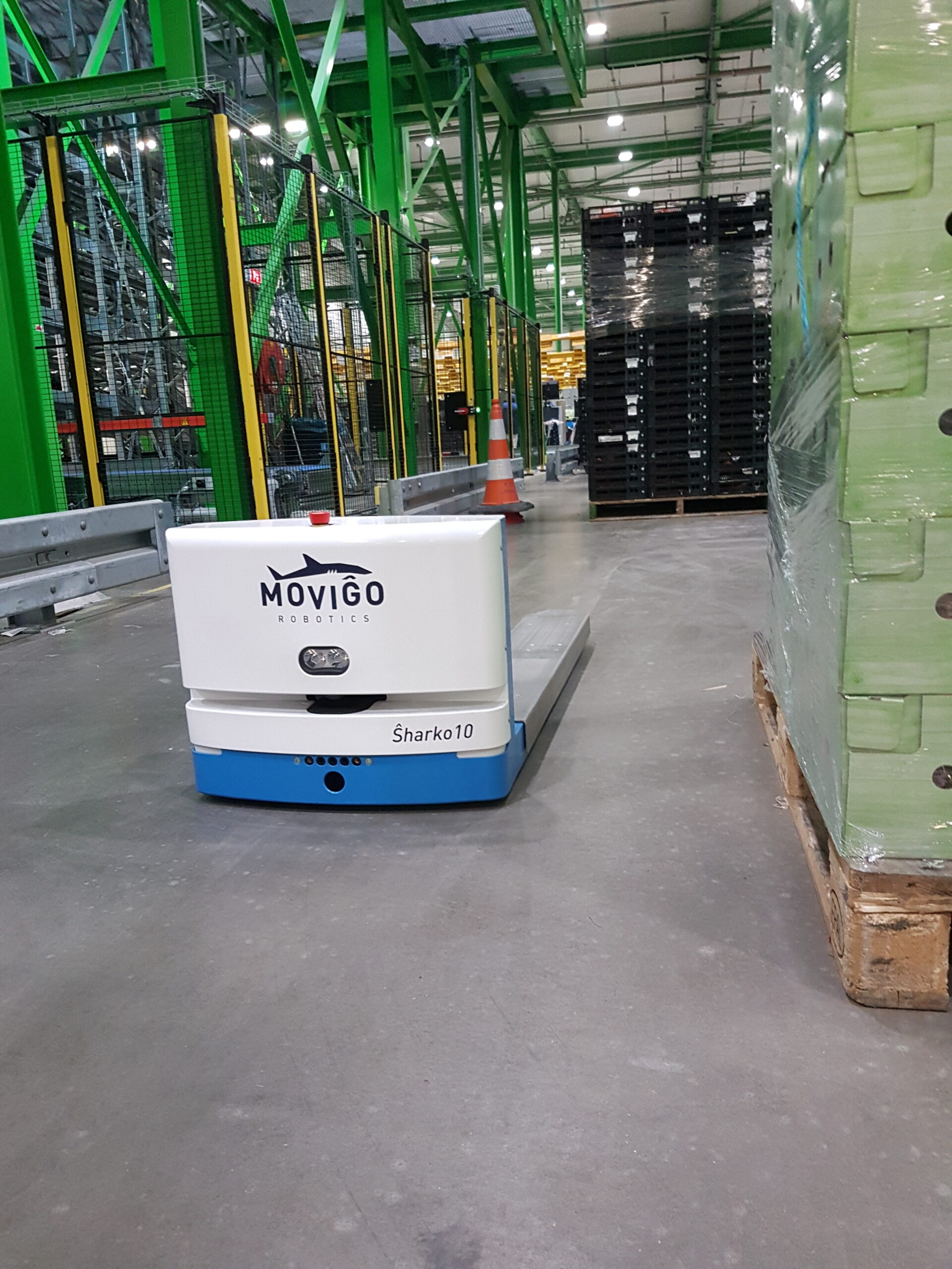 “Carnivore” performs veggie transport at W. Heemskerk Fresh & Easy ...